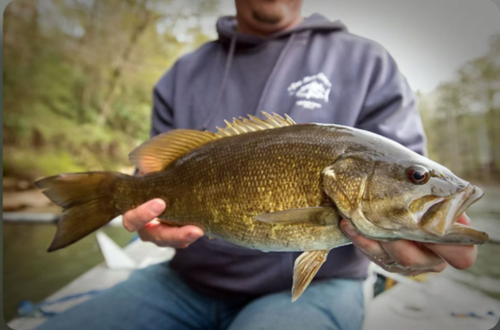 Visiting Thurmond – Thurmond WV